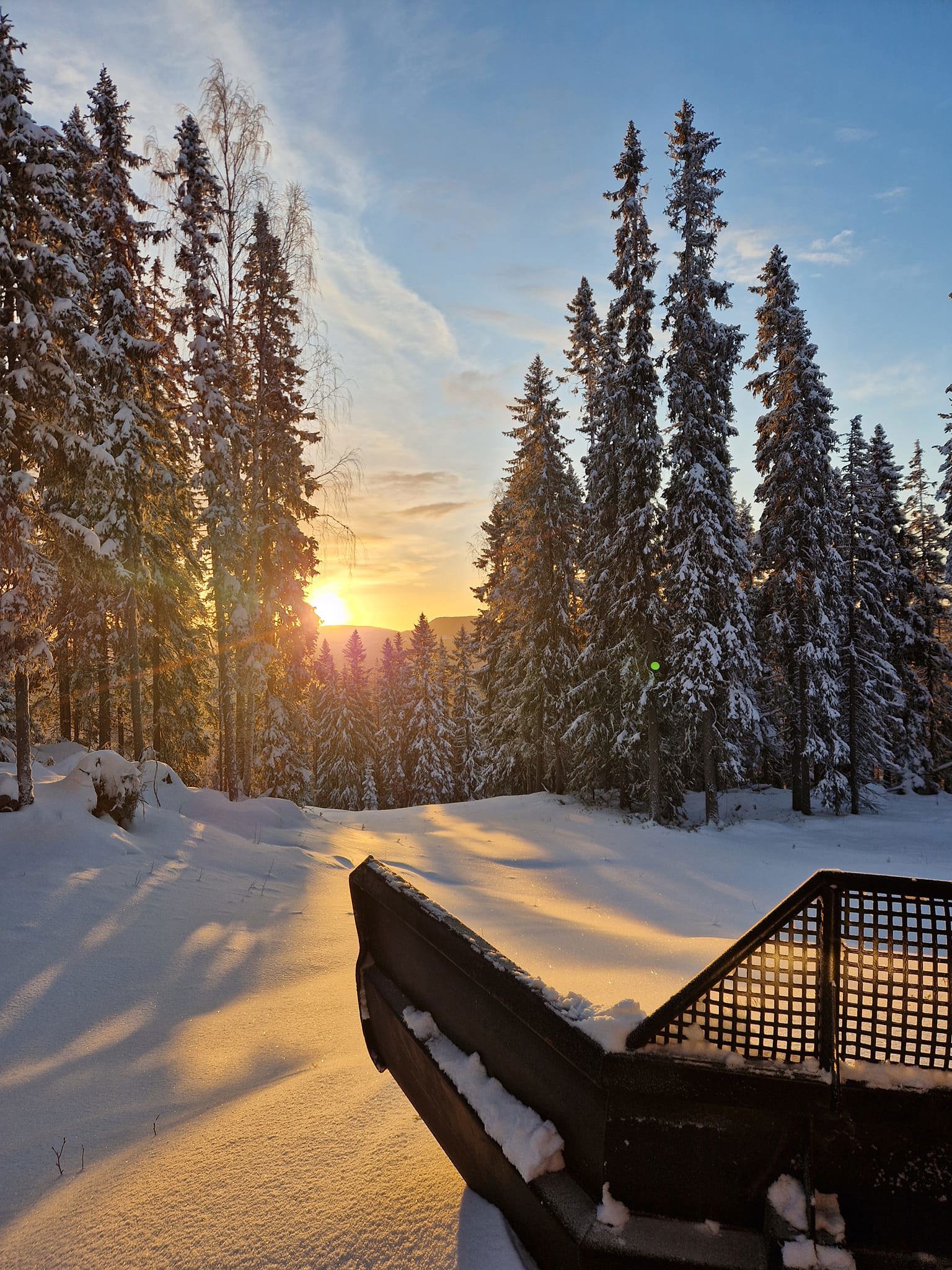 Fördjupa dig | Åsele Kommun